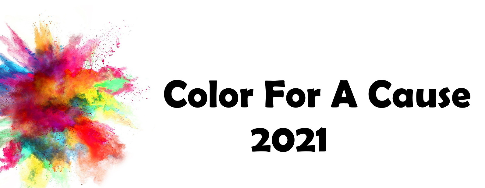 Color for a Cause 2